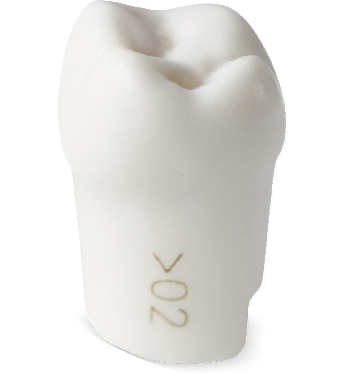 Acadental - MPR M300 #02