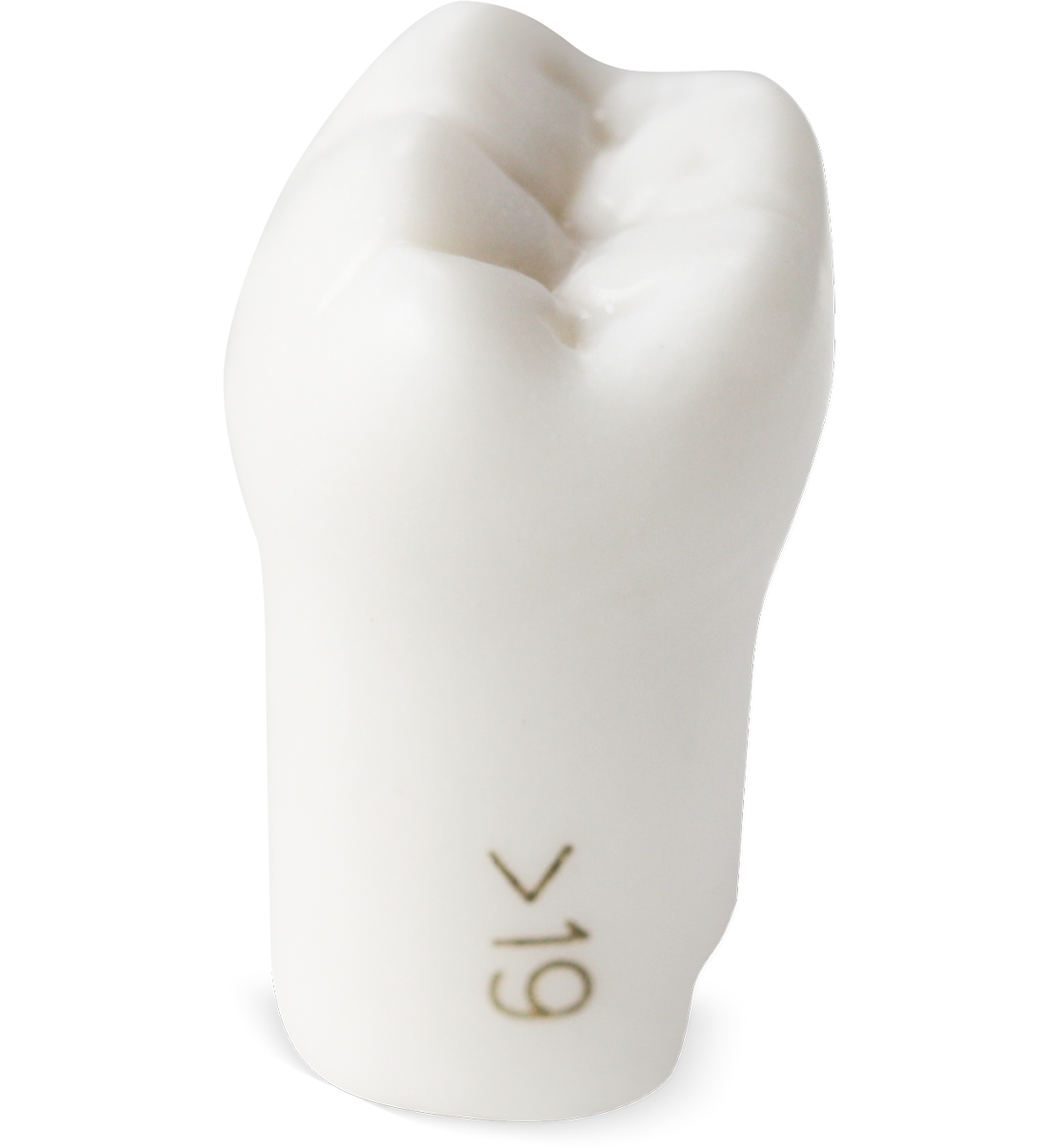 Acadental - MPR M300 #19