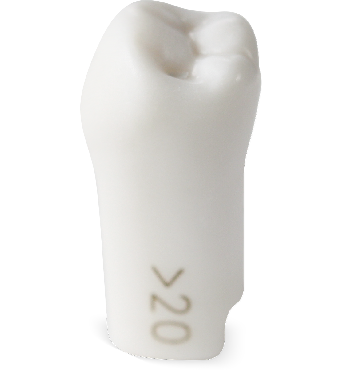 Acadental - RTX Caries Teeth Distal #20