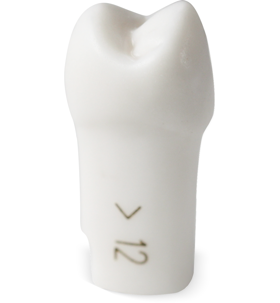 Acadental - MPR M300 #12