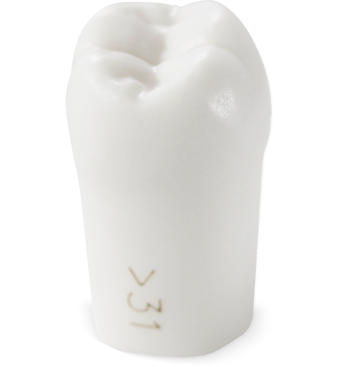 Acadental - MPR M300 #31