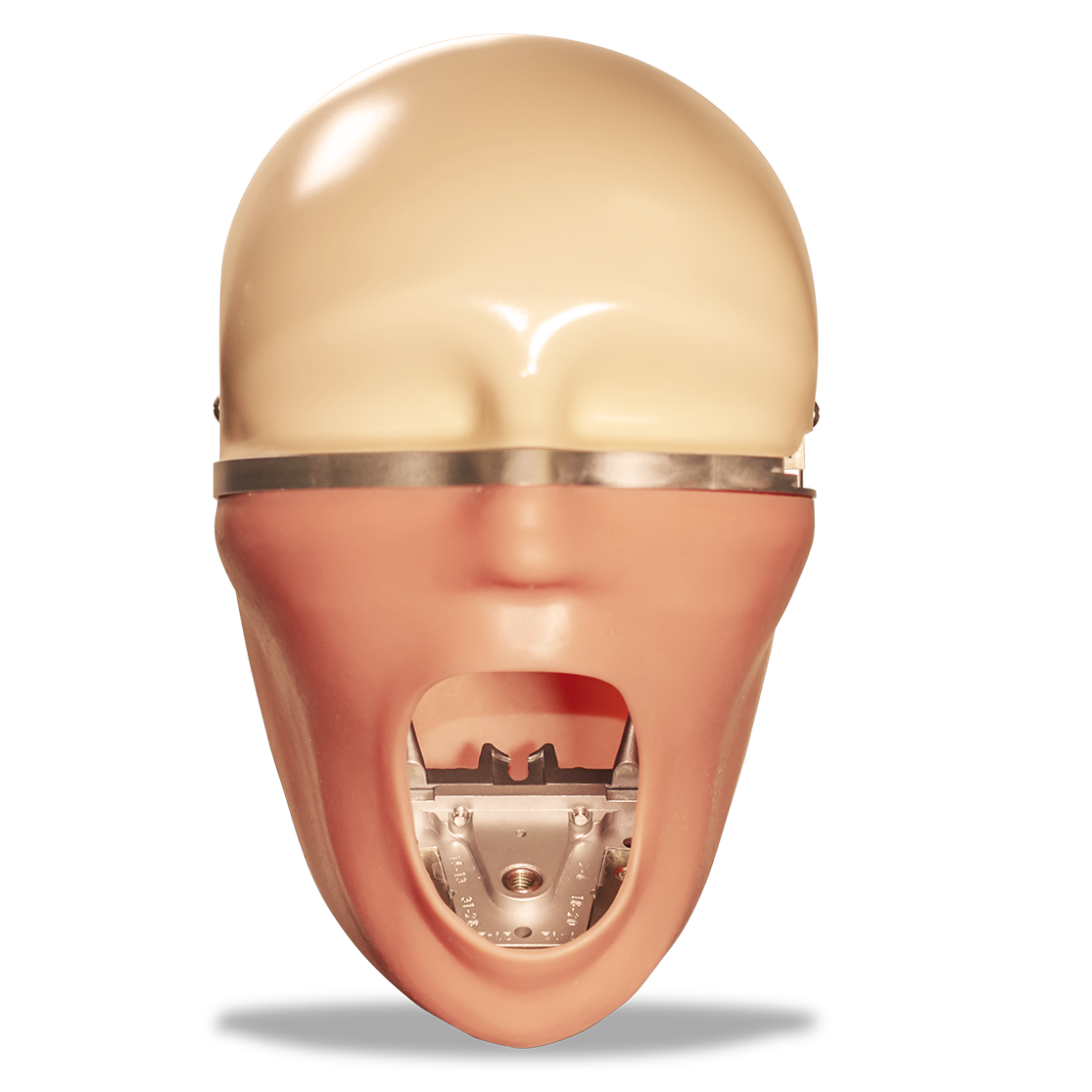 Acadental - Charlie Manikin System for A-dec Simulator