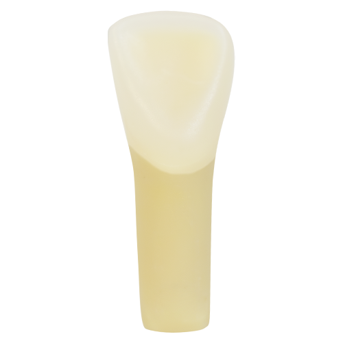 Acadental - PLT, Prime Two Layered Tooth #09