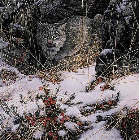 Stephen Lyman Prints