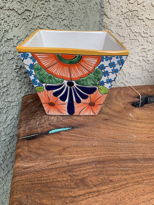 SHOP - The Happy Saguaro