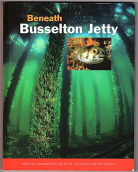 Beneath Busselton Jetty by Ann Storrie, Sue Morrison and Peter Morrison