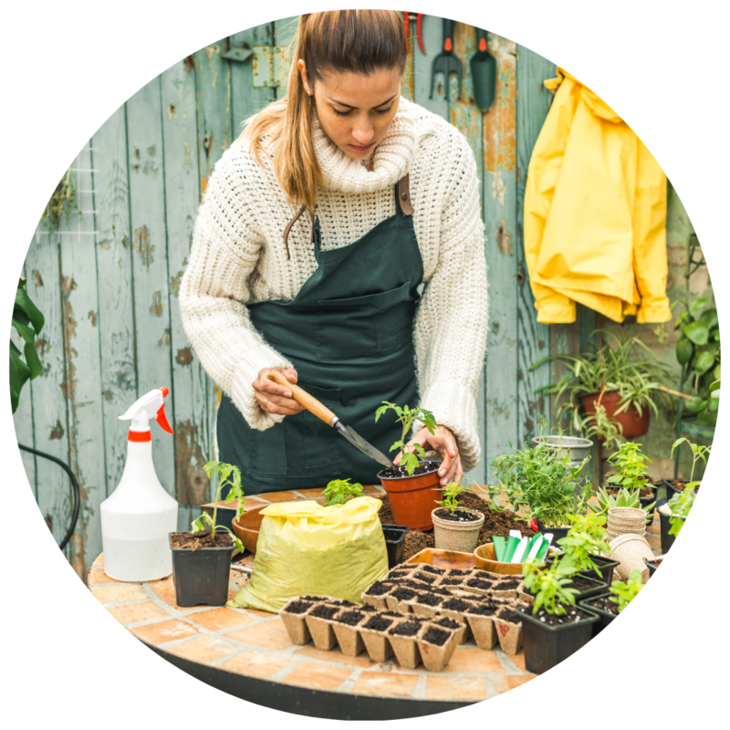 Plantforum | Vegetable & Seedlings, Micro Greens & Fertilizers