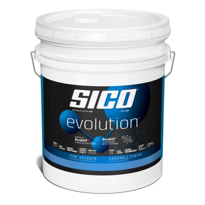 Hue & Hammer: Paint Stores, Supplies & Colour Experts