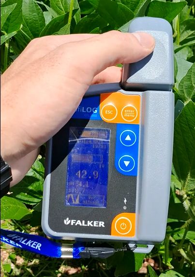 Medidor de Clorofila - Clorofilog 2060 Falker