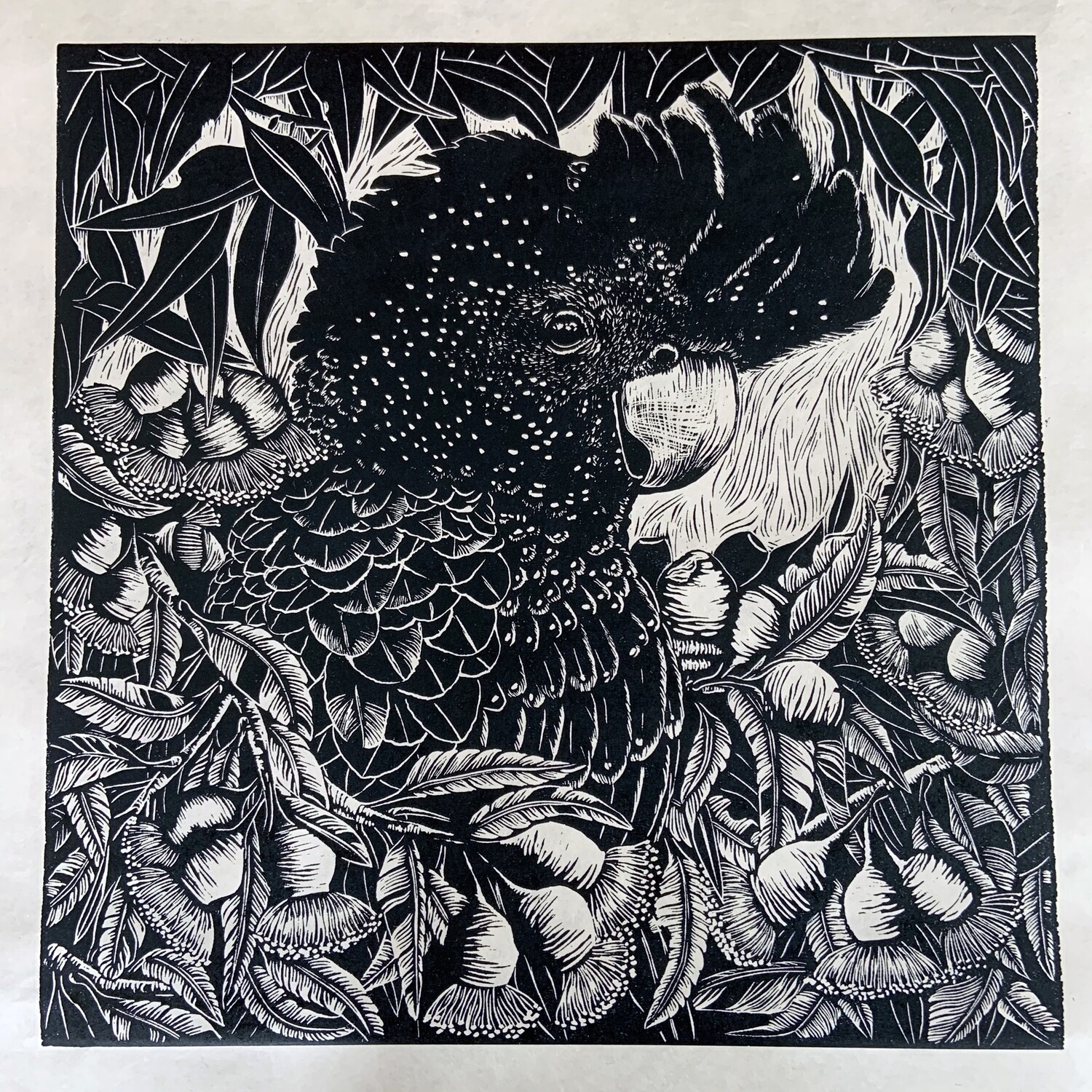 Original Limited Edition Handprinted Lino "Red-tail Black Cockatoo"