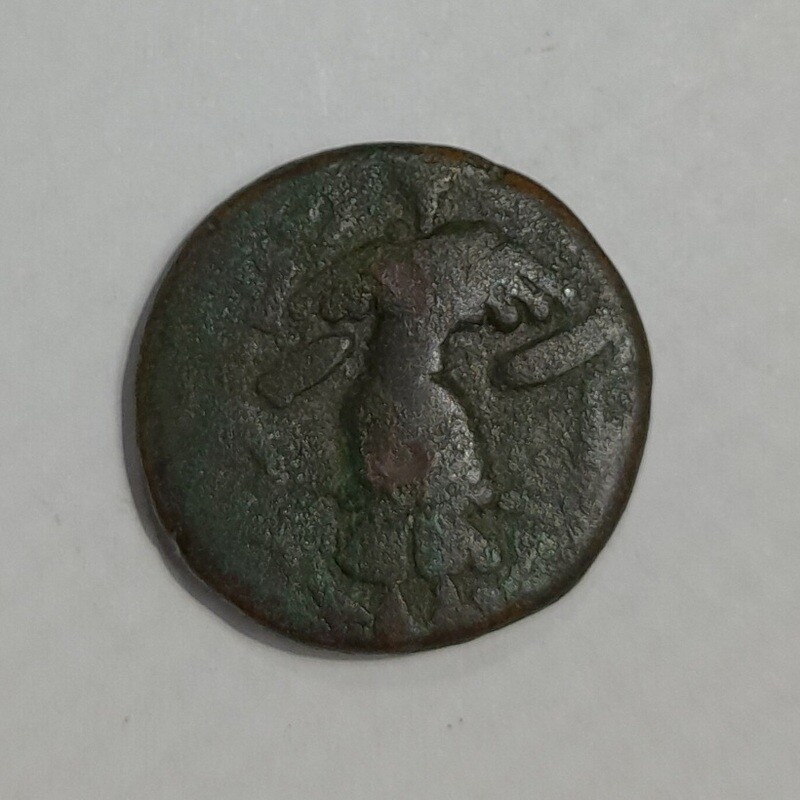 KASHMIR UTPALA DYNASTY COPPER COIN