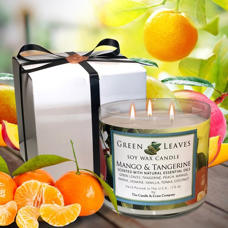 Mango & Tangerine Scented 3-Wick Soy Wax Candle