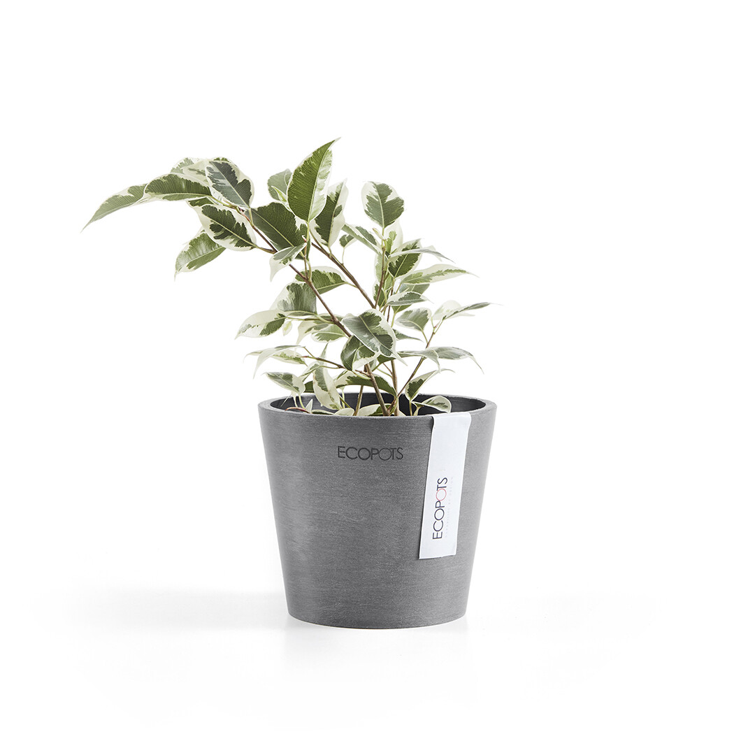 Small pots (Ø