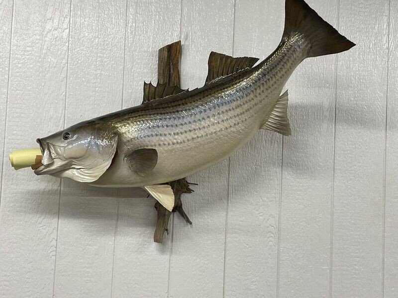 CONSIGNMENT GUN AUCTION