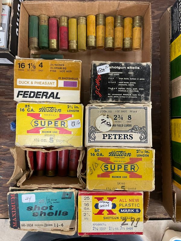 504 Asst 16 ga shells