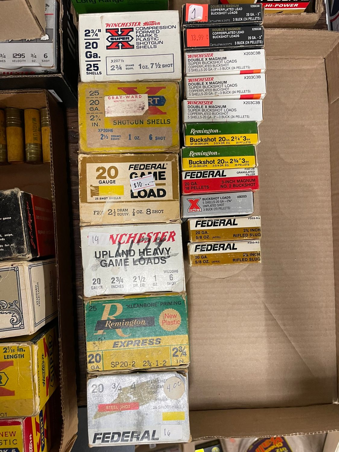 506 Asst 20 ga shells