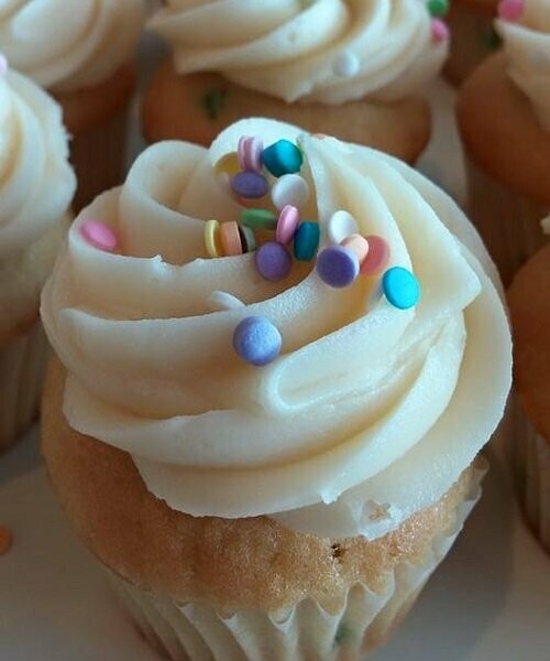 Regular Cupcakes OLD DNU