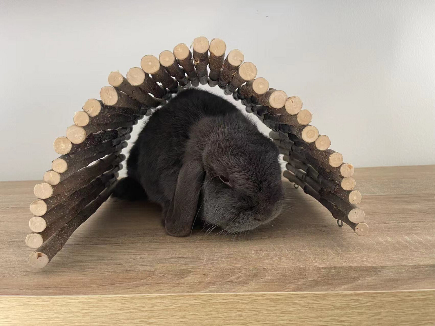 Apple Tree Stick Hide House / Tunnel 44cmx25cm