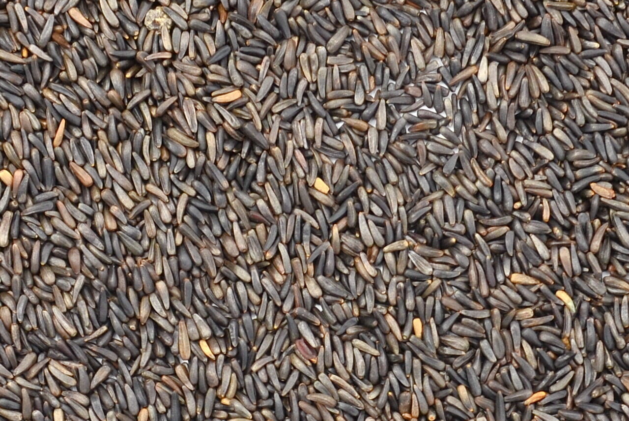 Niger Seed - Online Shop - Newbawn Wild Bird Feed Ireland