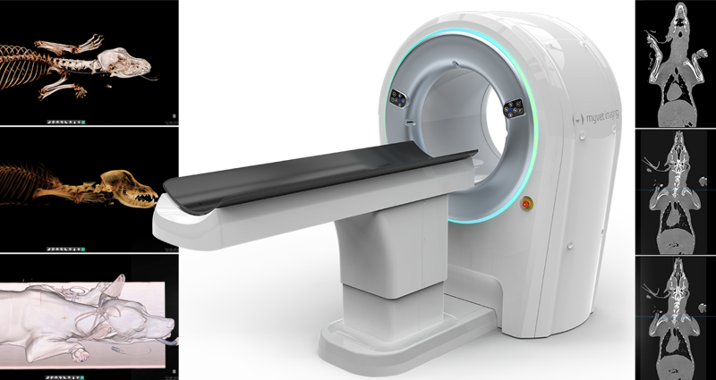 Tomography - Veterinary Digital Imaging & Diagnostic, SVC