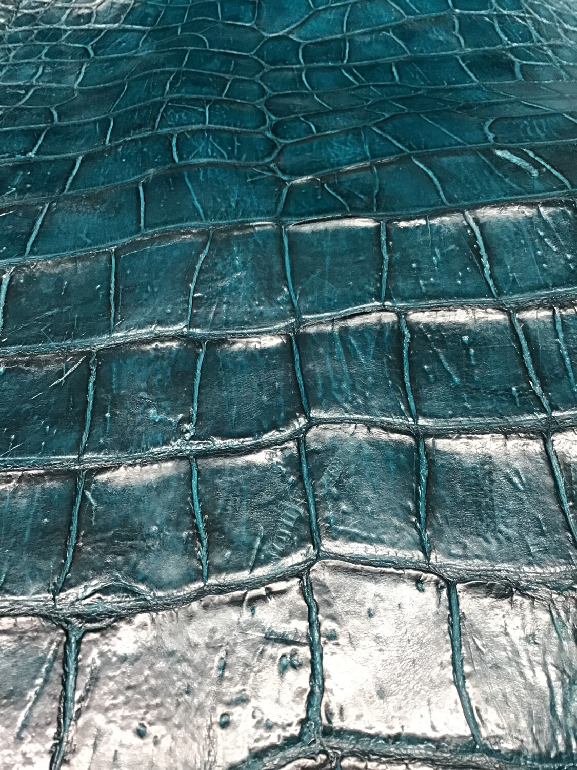 Belly Alligator Skins