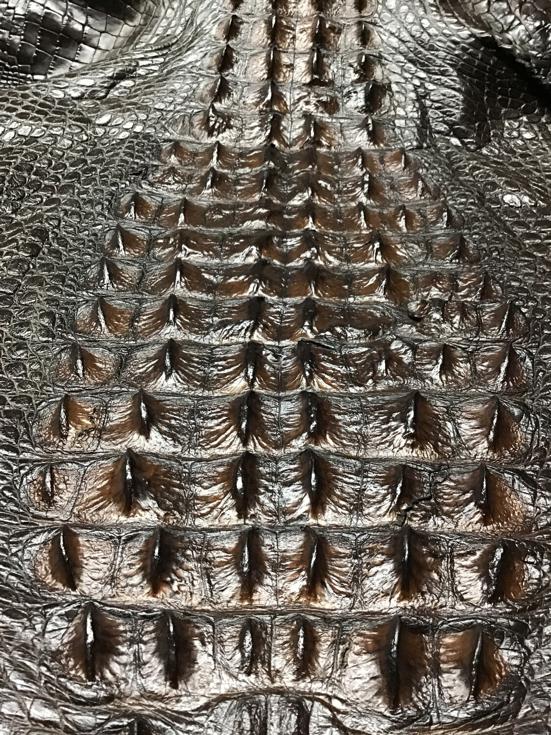 Hornback Alligator Skins