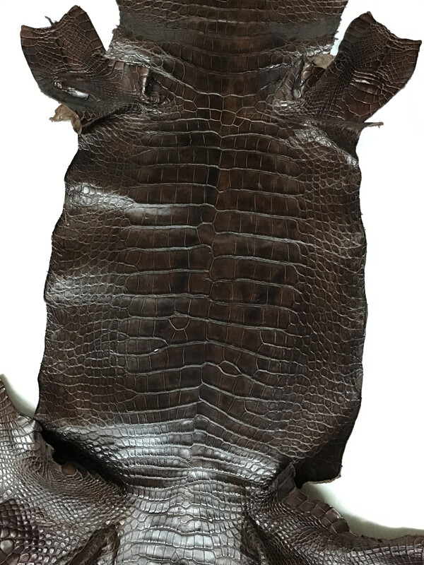 Belly Alligator Skins