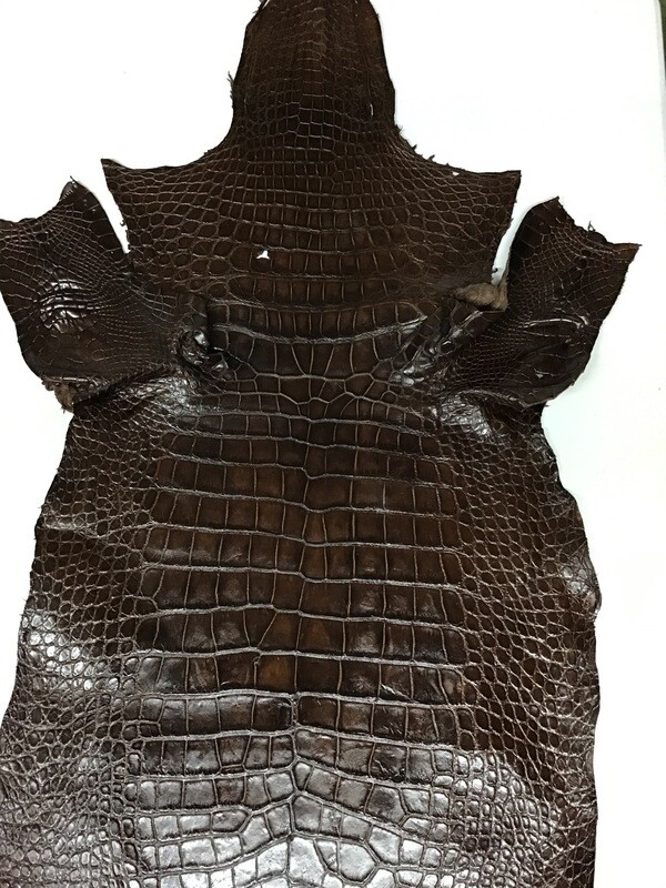Belly Alligator Skins