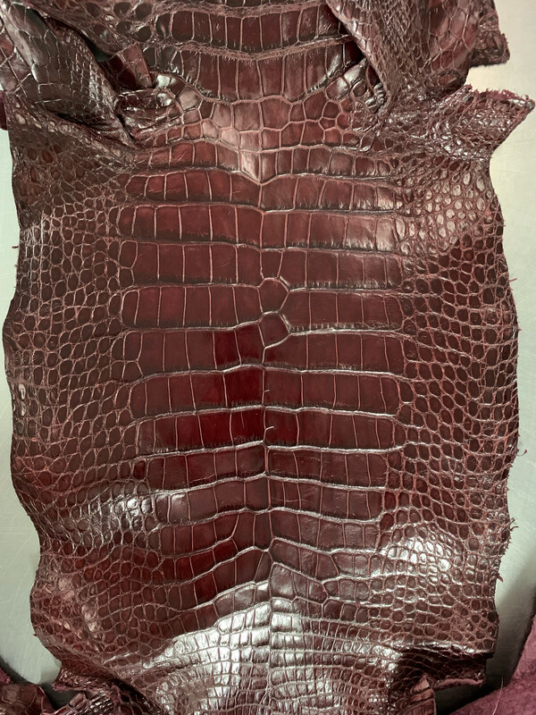 Belly Alligator Skins