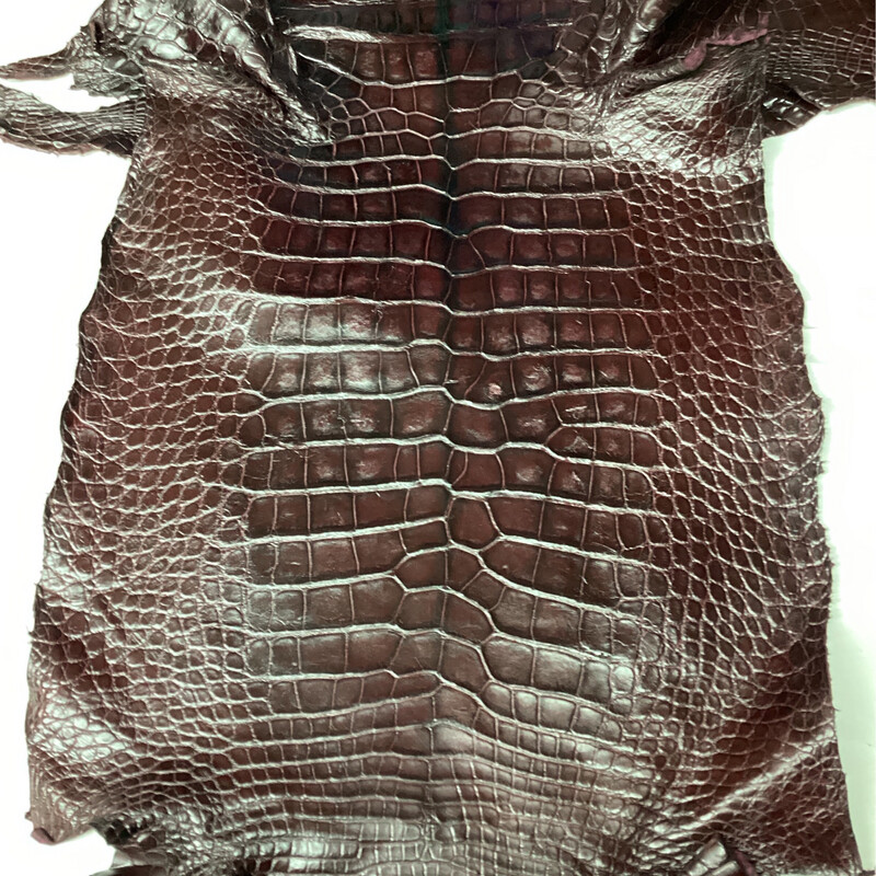 Belly Alligator Skins