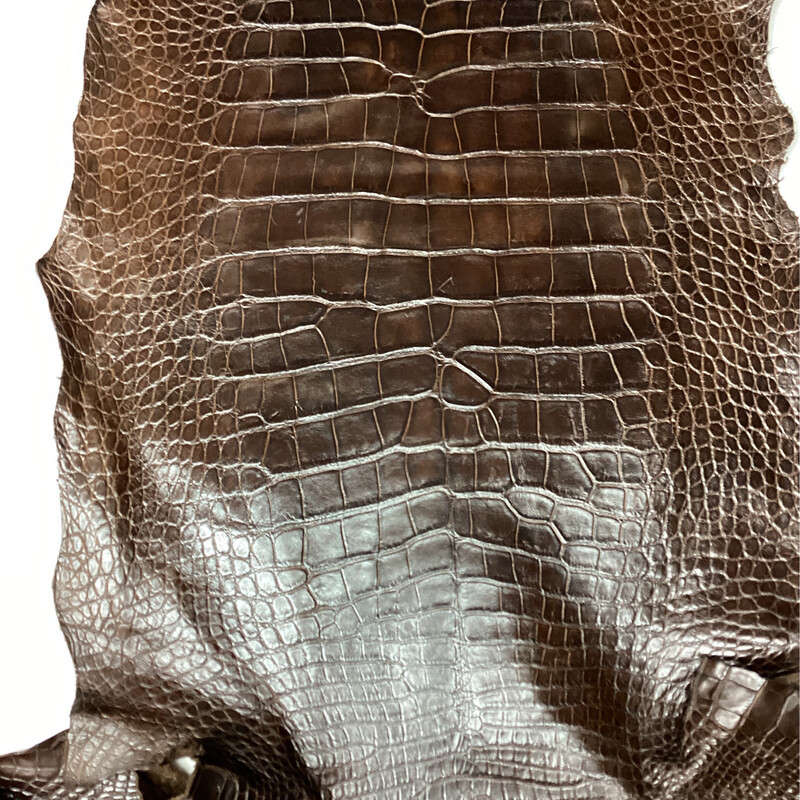 Belly Alligator Skins
