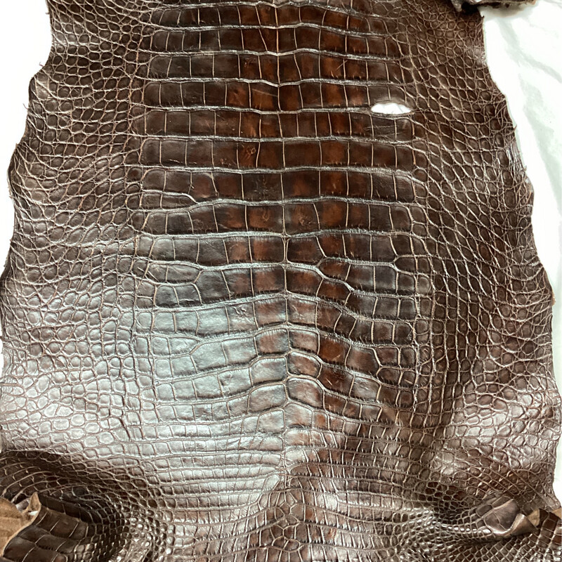 Belly Alligator Skins