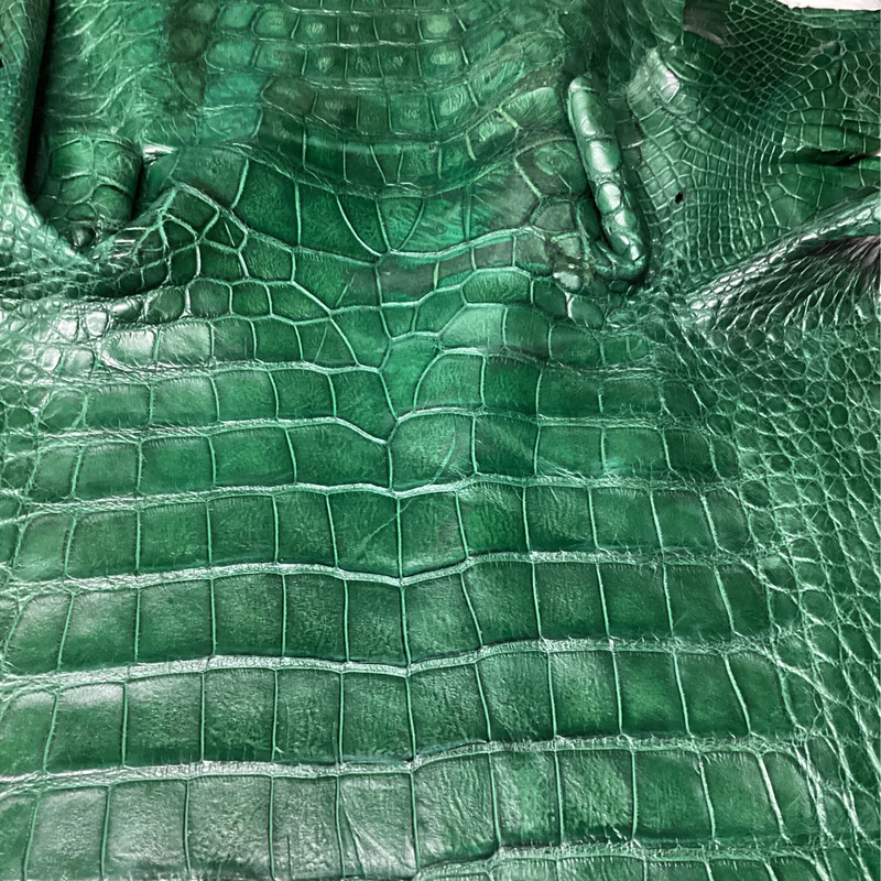 Belly Alligator Skins