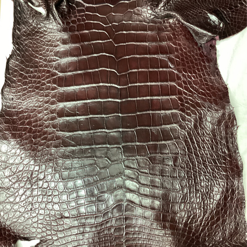 Belly Alligator Skins