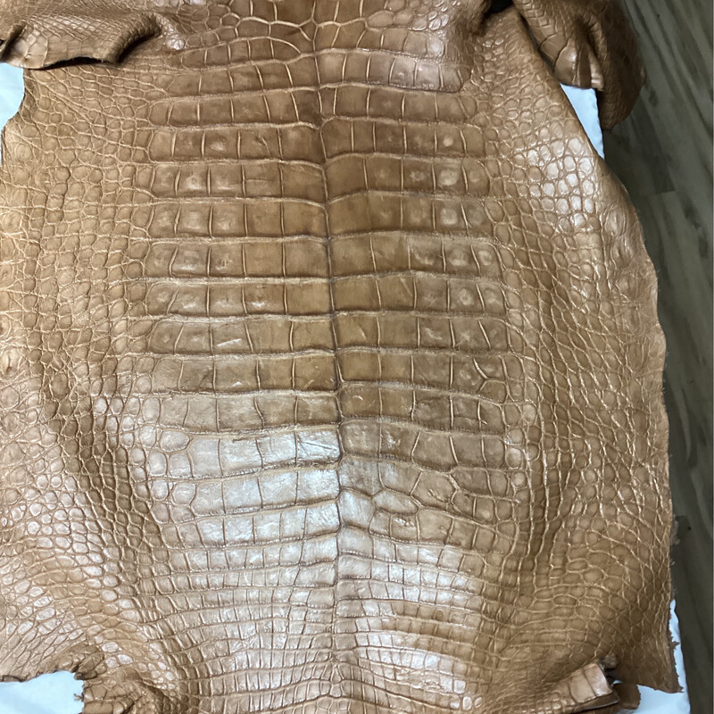 Belly Alligator Skins