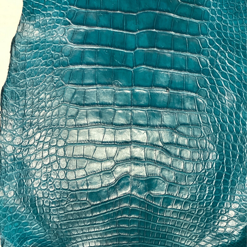 Belly Alligator Skins
