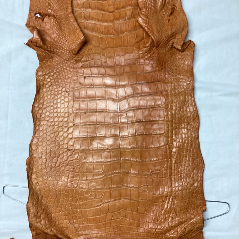 Belly Alligator Skins