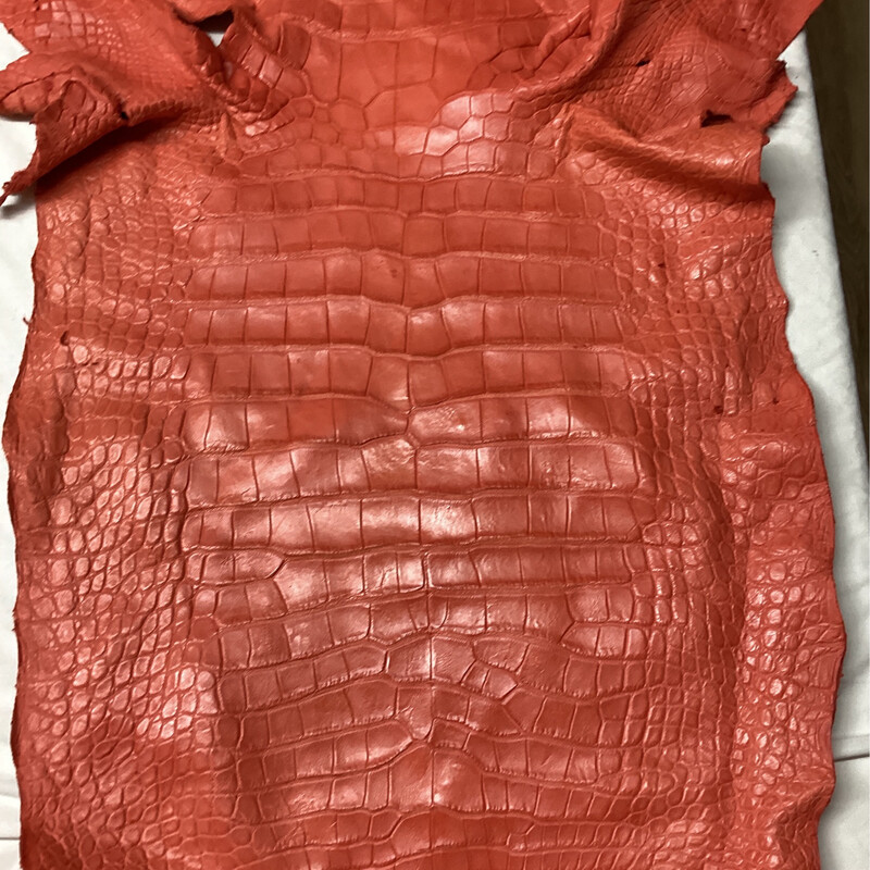Belly Alligator Skins