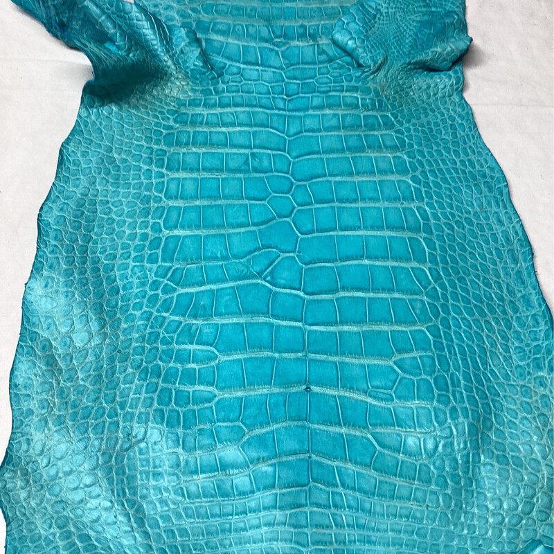 Belly Alligator Skins