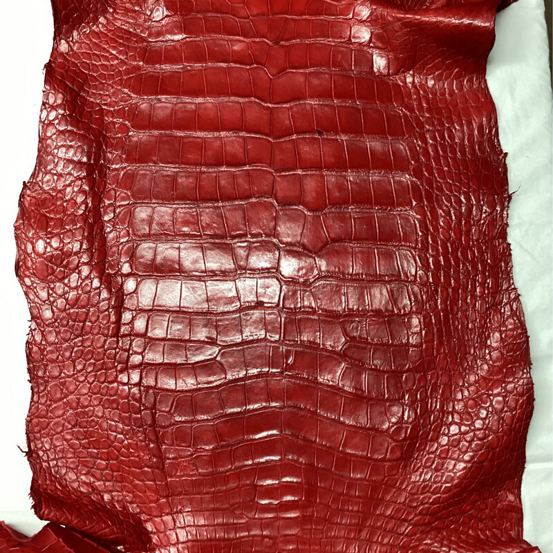 Belly Alligator Skins