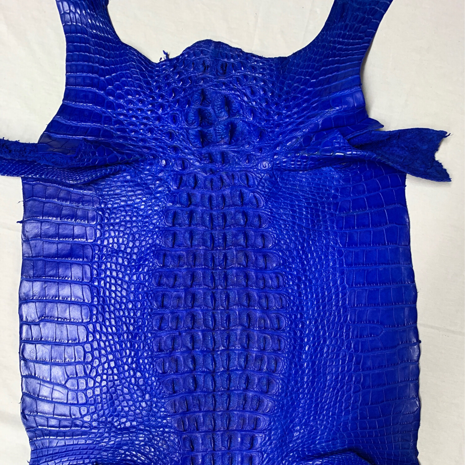Hornback Alligator Skins
