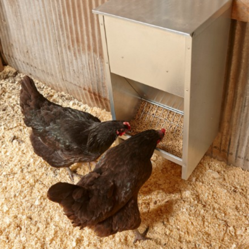 Galvanized High Capacity Poultry 25-Pound Feeder - Meyer Hatchery
