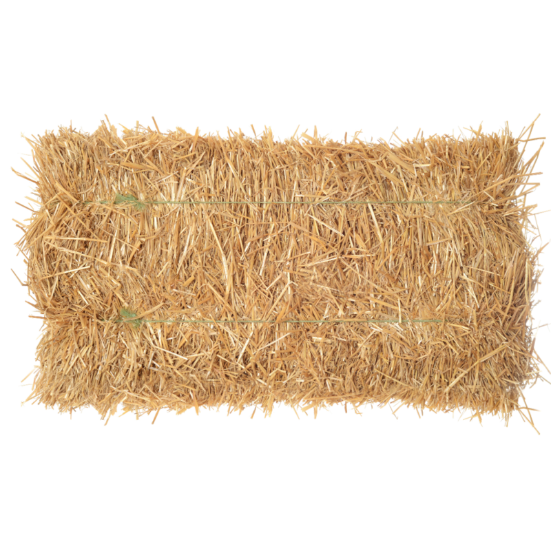 Hay, 1st Cutting