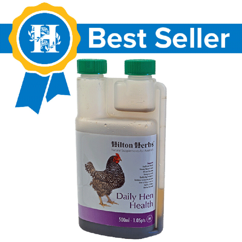 Daily Hen Health