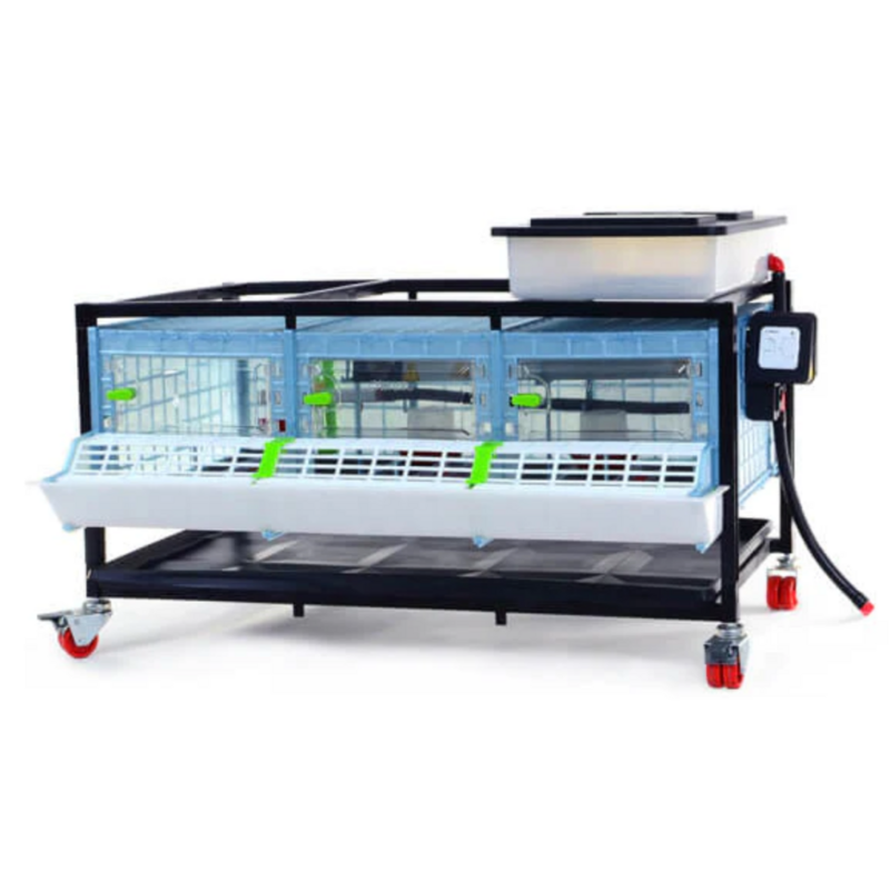 Hatching Time Gamebird Chick Brooder 9.5" H - 1 Layer