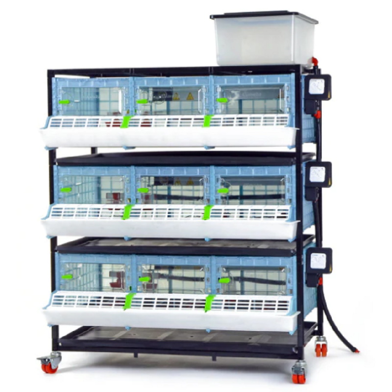 Hatching Time Gamebird Chick Brooder 9.5" H - 2 Layer