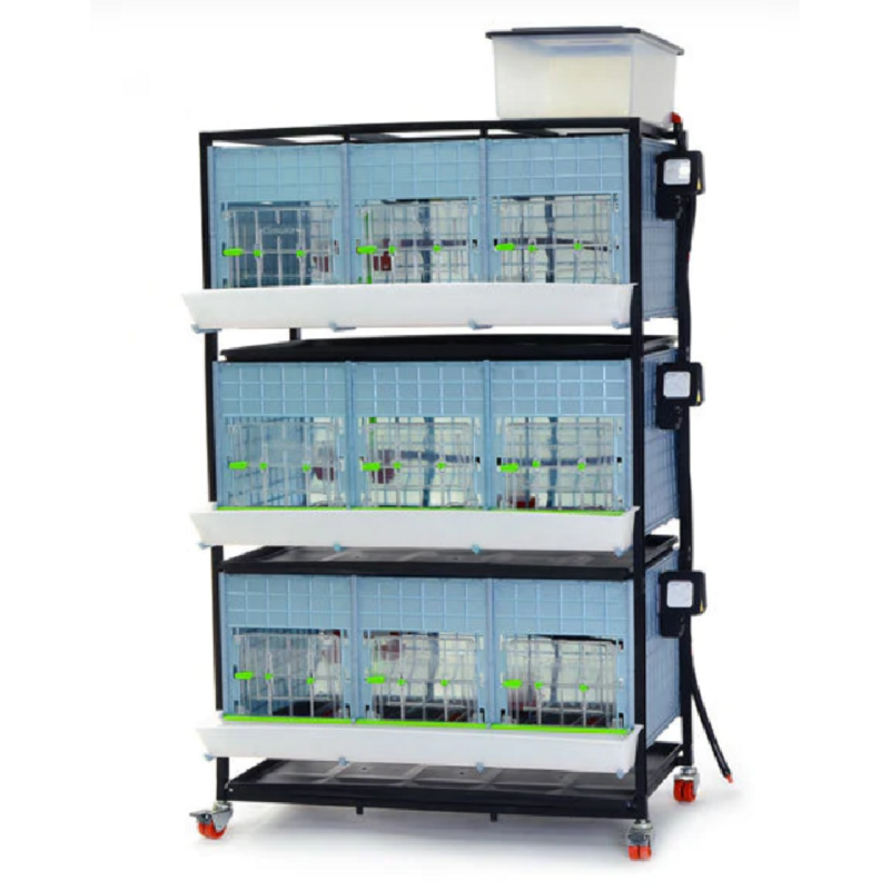 Hatching Time Chick Brooder 15" H - 2 Section Midi