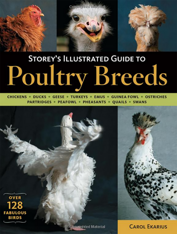 Storey's Illustrated Guide to Poultry Breeds - Meyer Hatchery