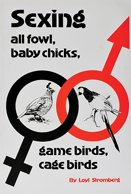 Sexing All Fowl Meyer Hatchery
