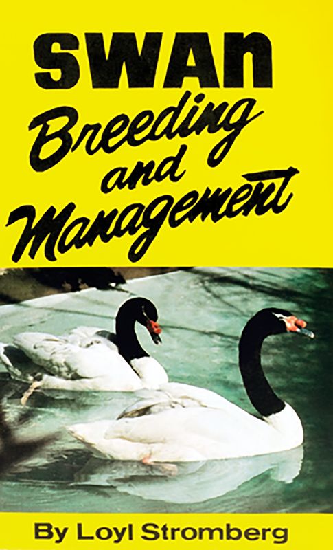Swan Breeding and Management - Meyer Hatchery